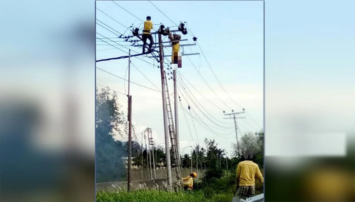 Melecur terkena renjatan elektrik - Sabah Post