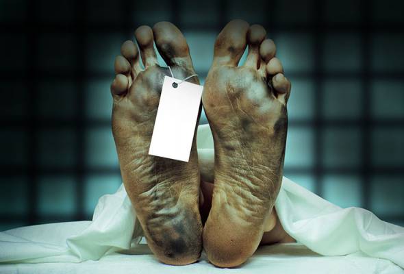 Misteri Bau Busuk Bawa Penemuan Mayat Kembung, Melecur Di Siling ...