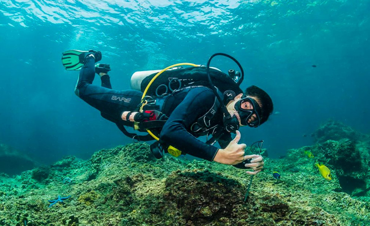 Aktiviti Menyelam Kini Dibenarkan Di Sabah - Sabah Post