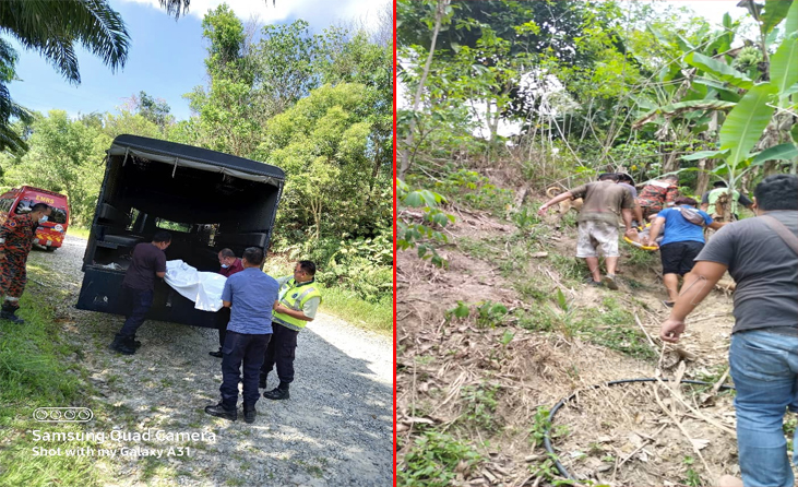 Warga Emas Maut Dihempap Pokok - Sabah Post