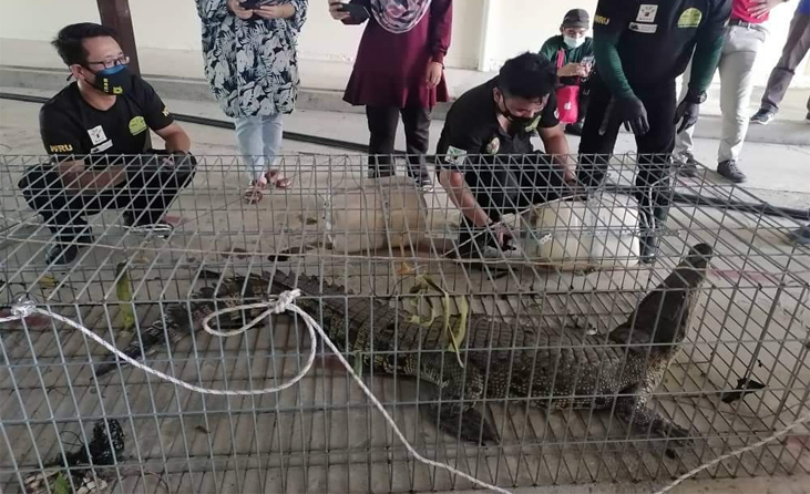 logo kolej vokasional likas - Warren Wright