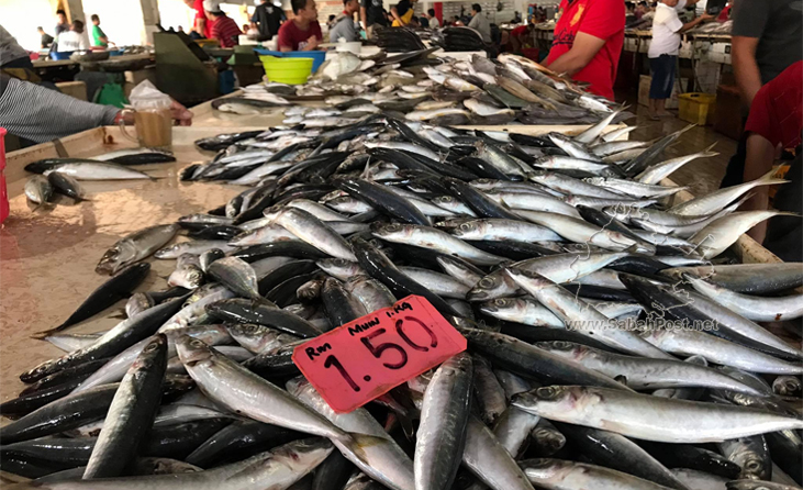Harga Ikan Di Sabah Berbeza Jika Disentuh - Sabah Post