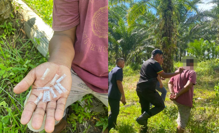 Polis Tahan Lelaki Tempatan Bersama 10 Paket Syabu Di Ladang Sawit ...
