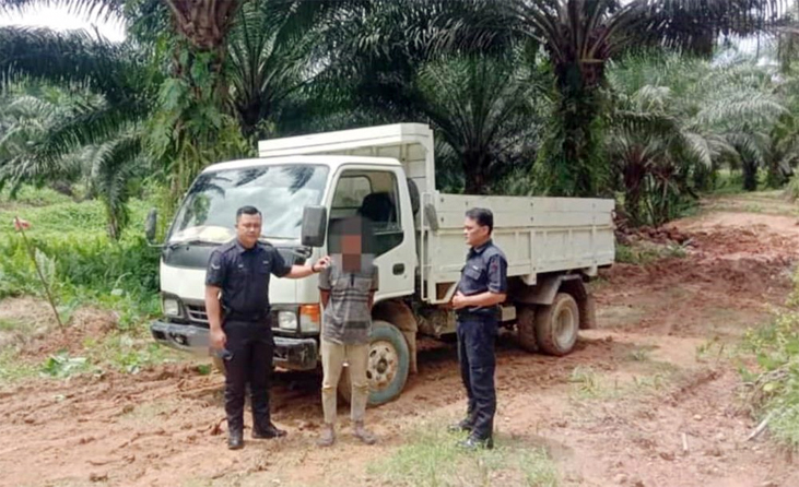 Polis Tahan Lelaki Disyaki Curi Buah Kelapa Sawit – Sabah Post Polis Tahan Lelaki Disyaki Curi Buah Kelapa Sawit – Sabah Post